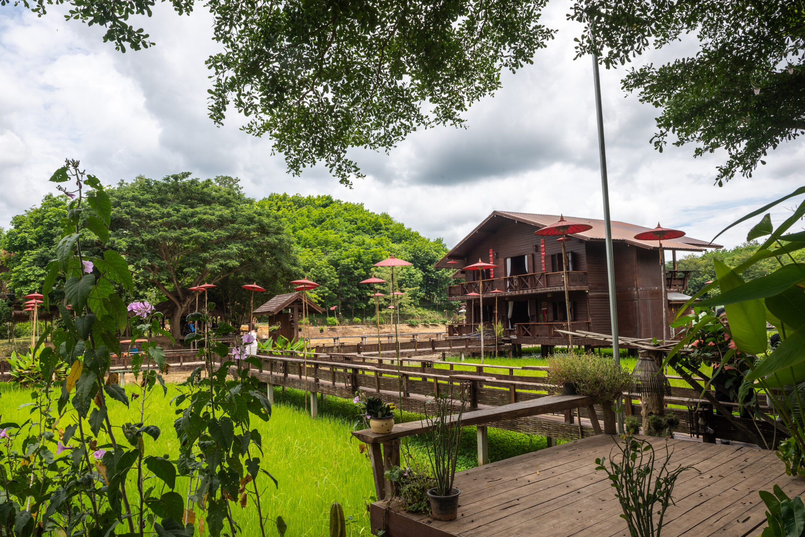 Why You Should Consider a Hosted Homestay and Community-based Travel ...